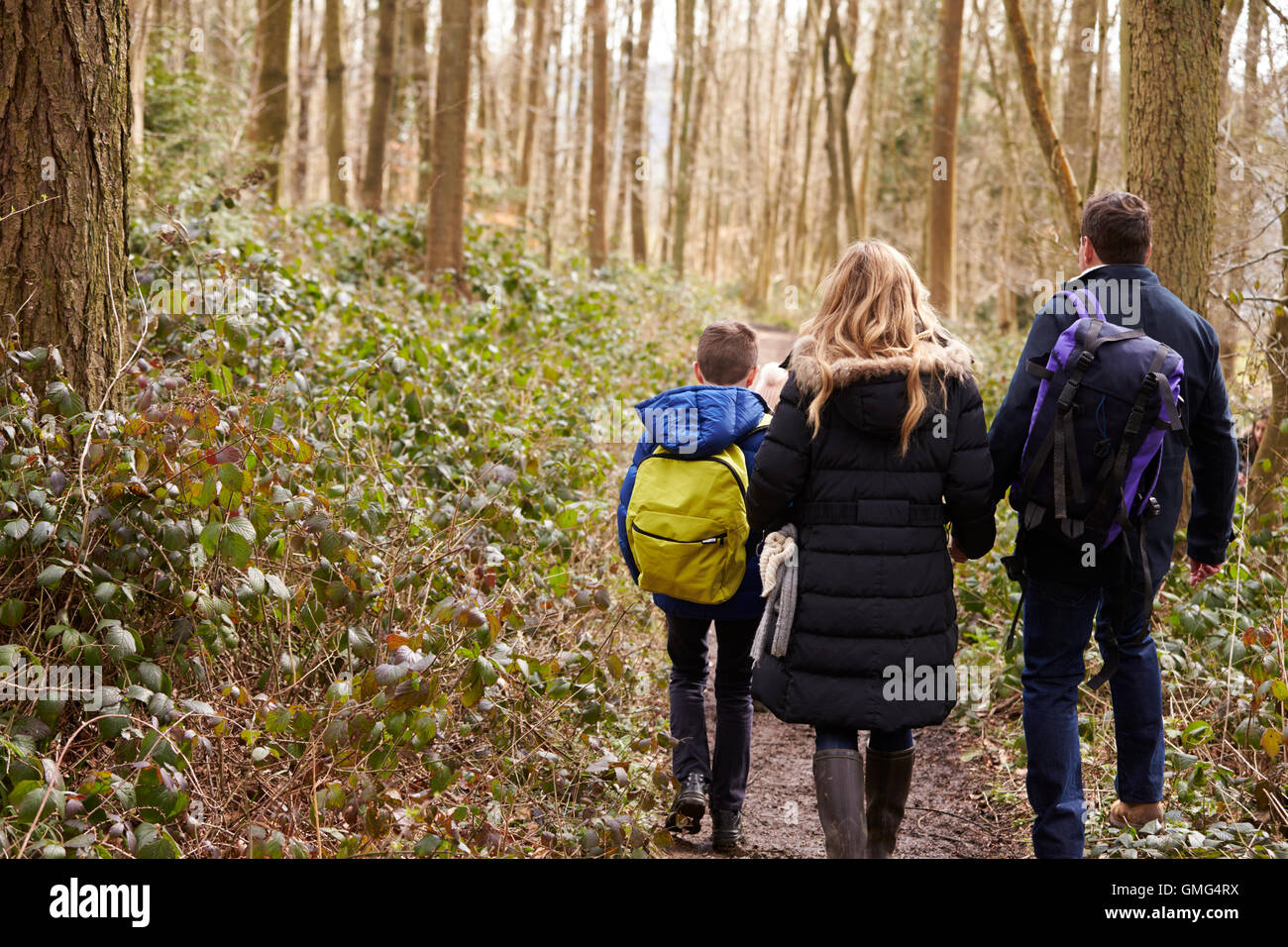 Family walking together through a wood, back view close up Stock Photo ...