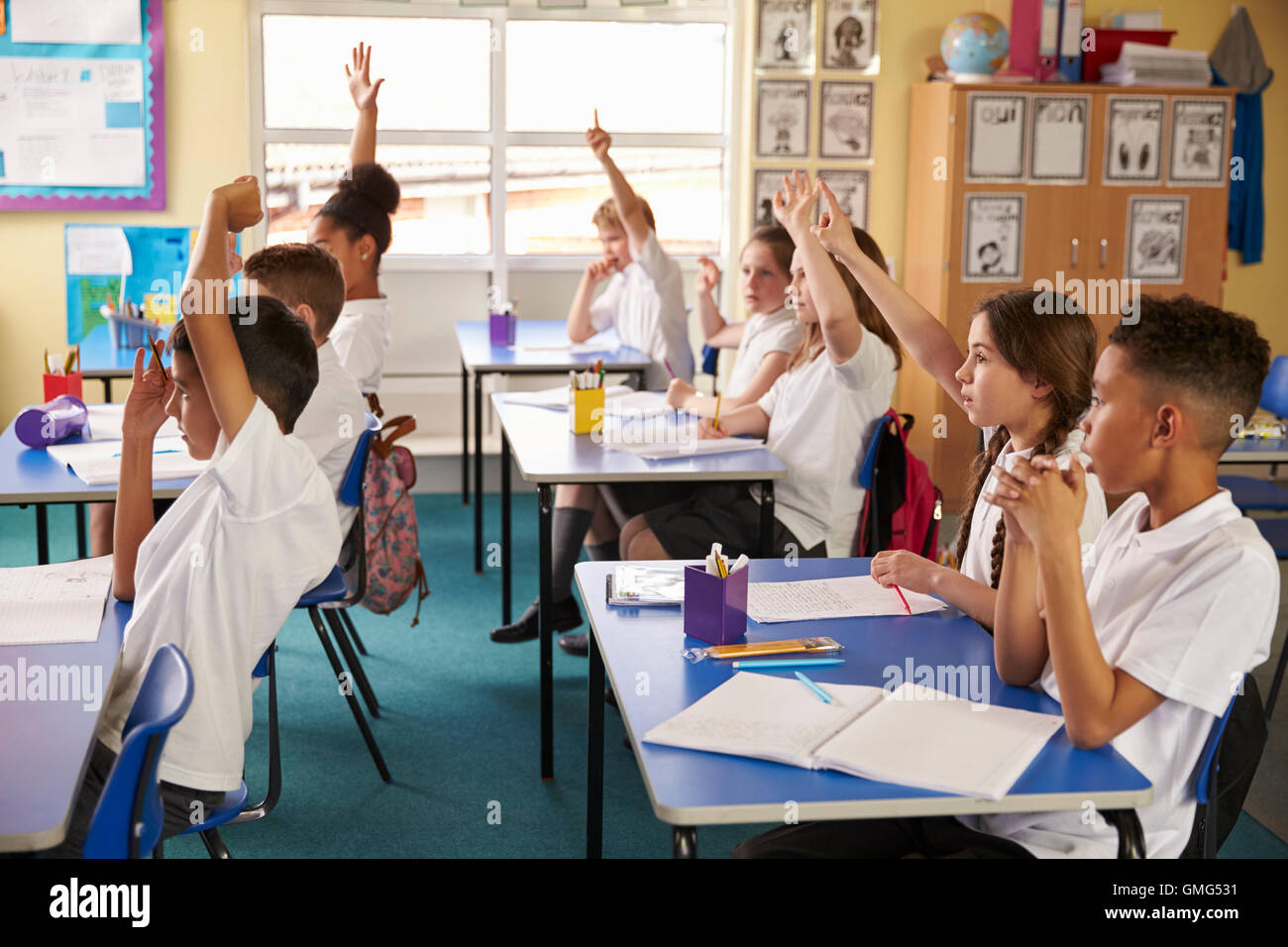 Pupils raise hands in a lesson at primary school, side view Stock Photo ...