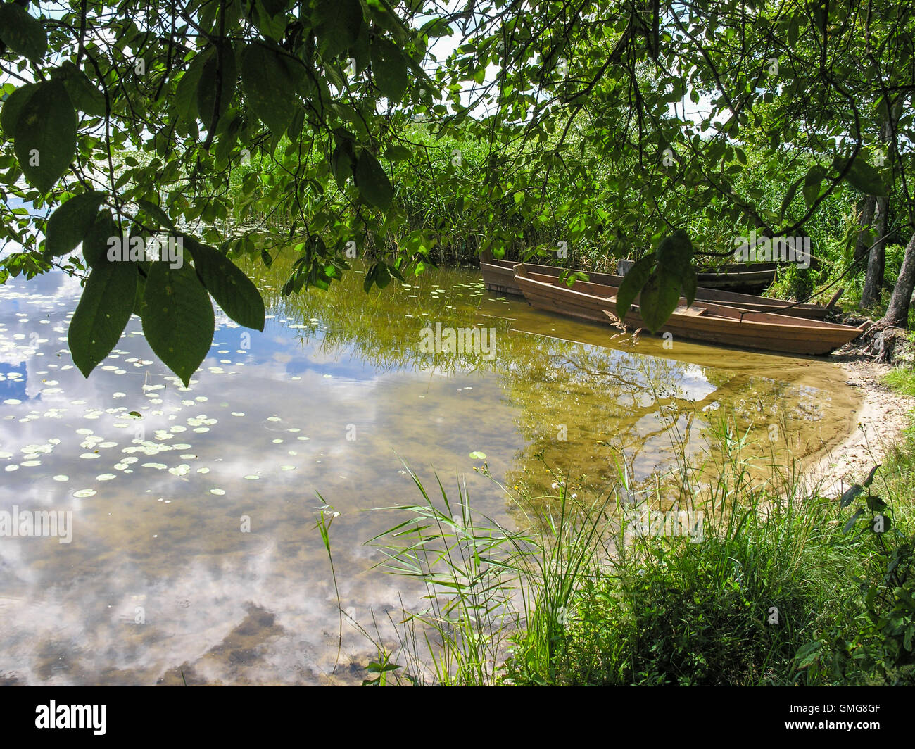 Boats on the forest lake Stock Photo - Alamy