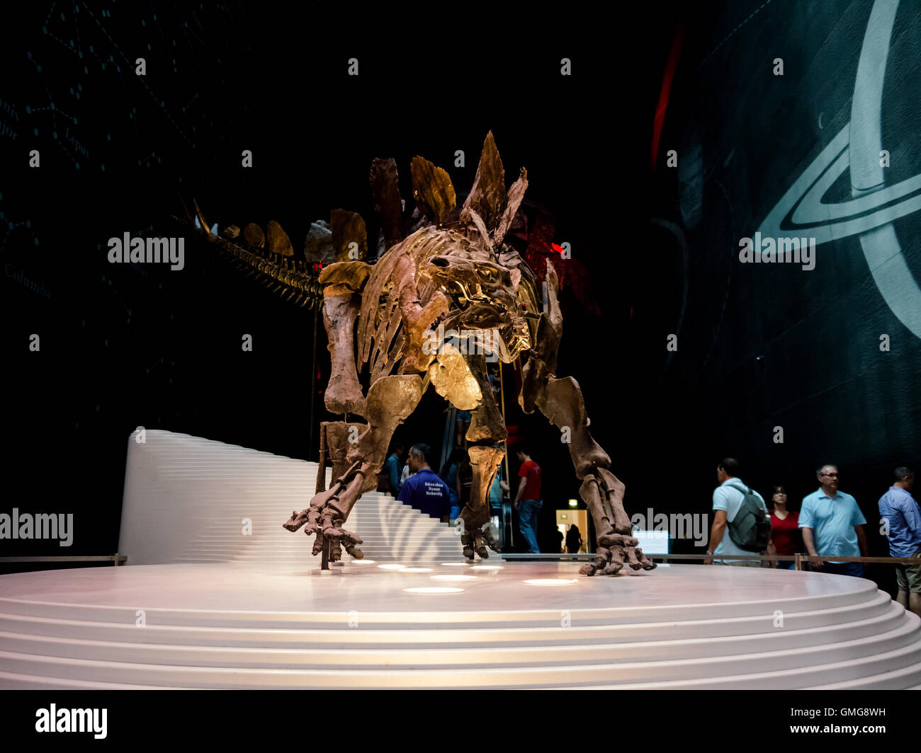 London natural history museum earth hall hi-res stock photography and ...