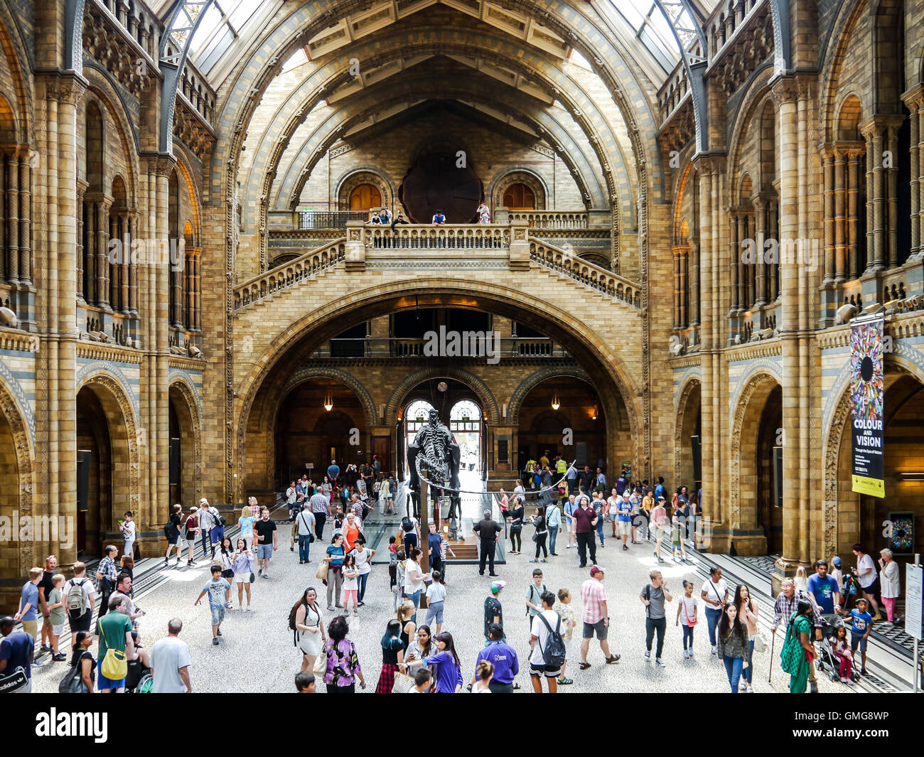 The Hintze hall of Londons natural history museum with its centre piece ...