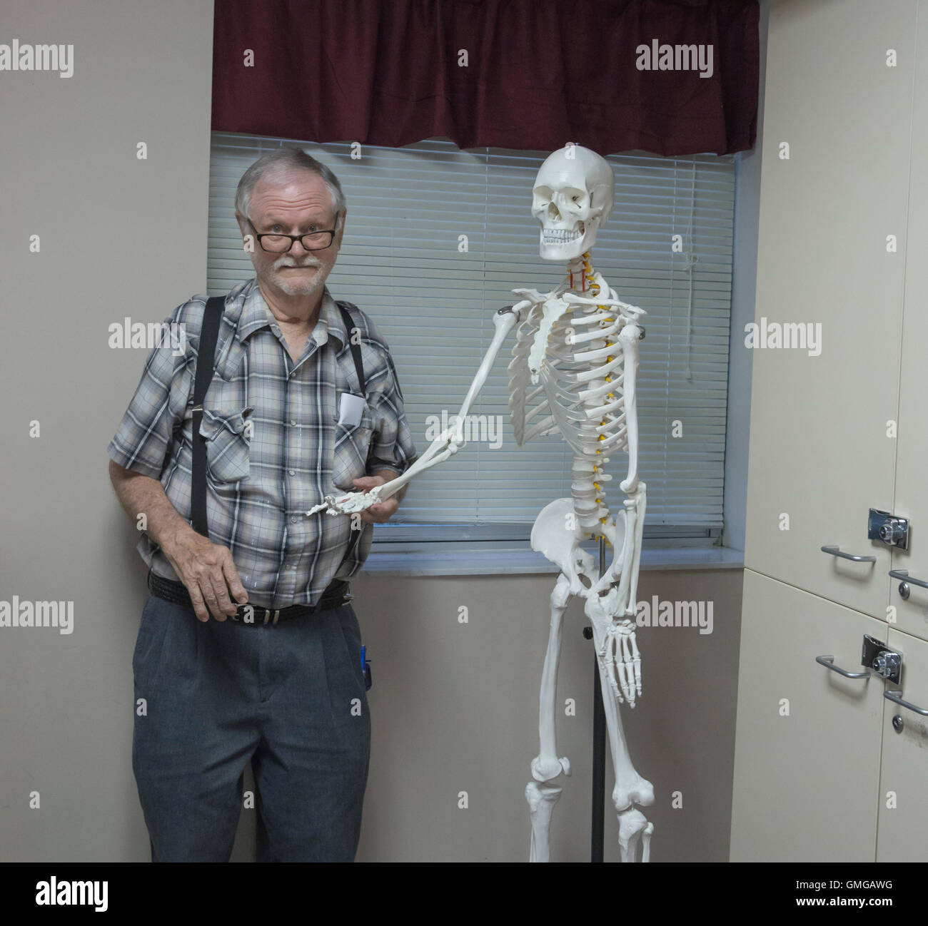 Lab skeleton hi-res stock photography and images - Alamy