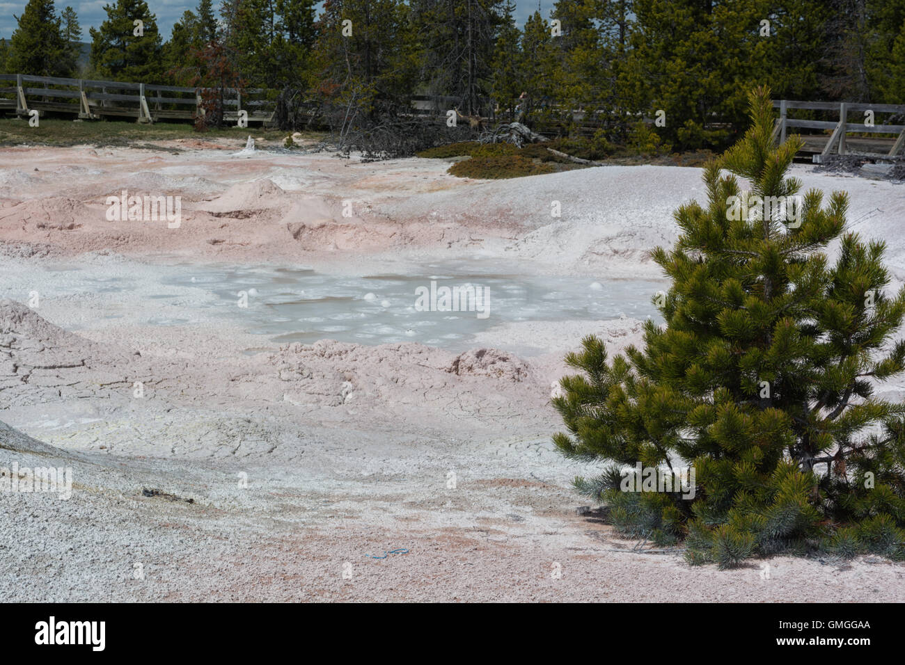 Bubbles of steam burst through the mud at a hot spring Stock Photo - Alamy