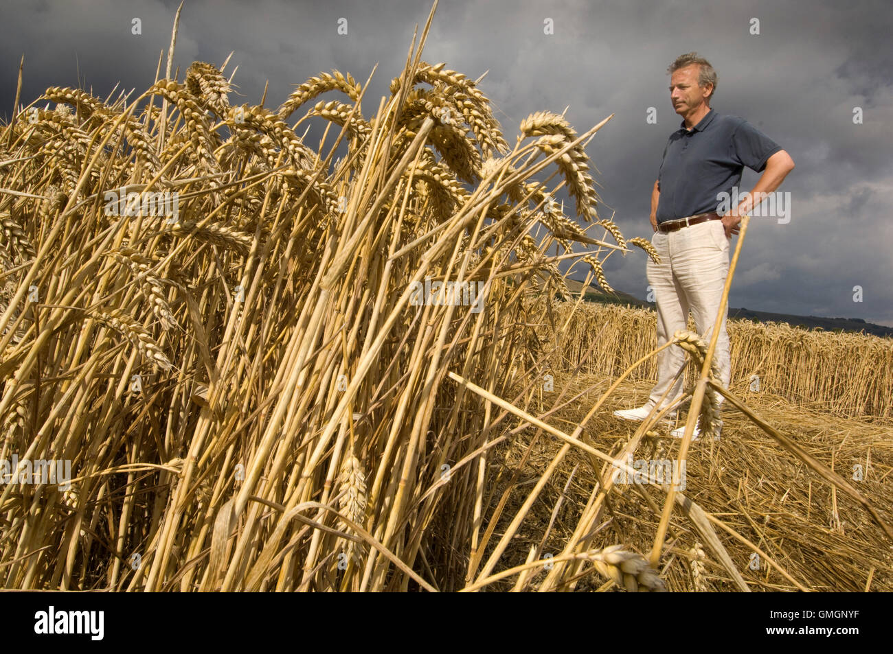 Crop circle investigator Clive Aslet ( Croppy/Croppies) searching for ...