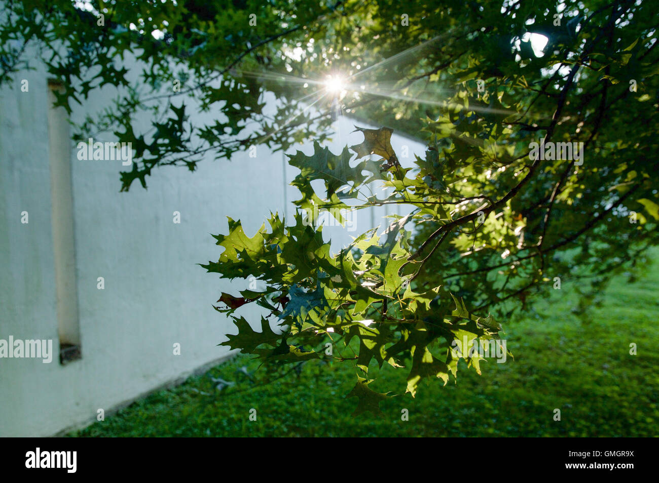 Abbey of gethsemani hi-res stock photography and images - Alamy