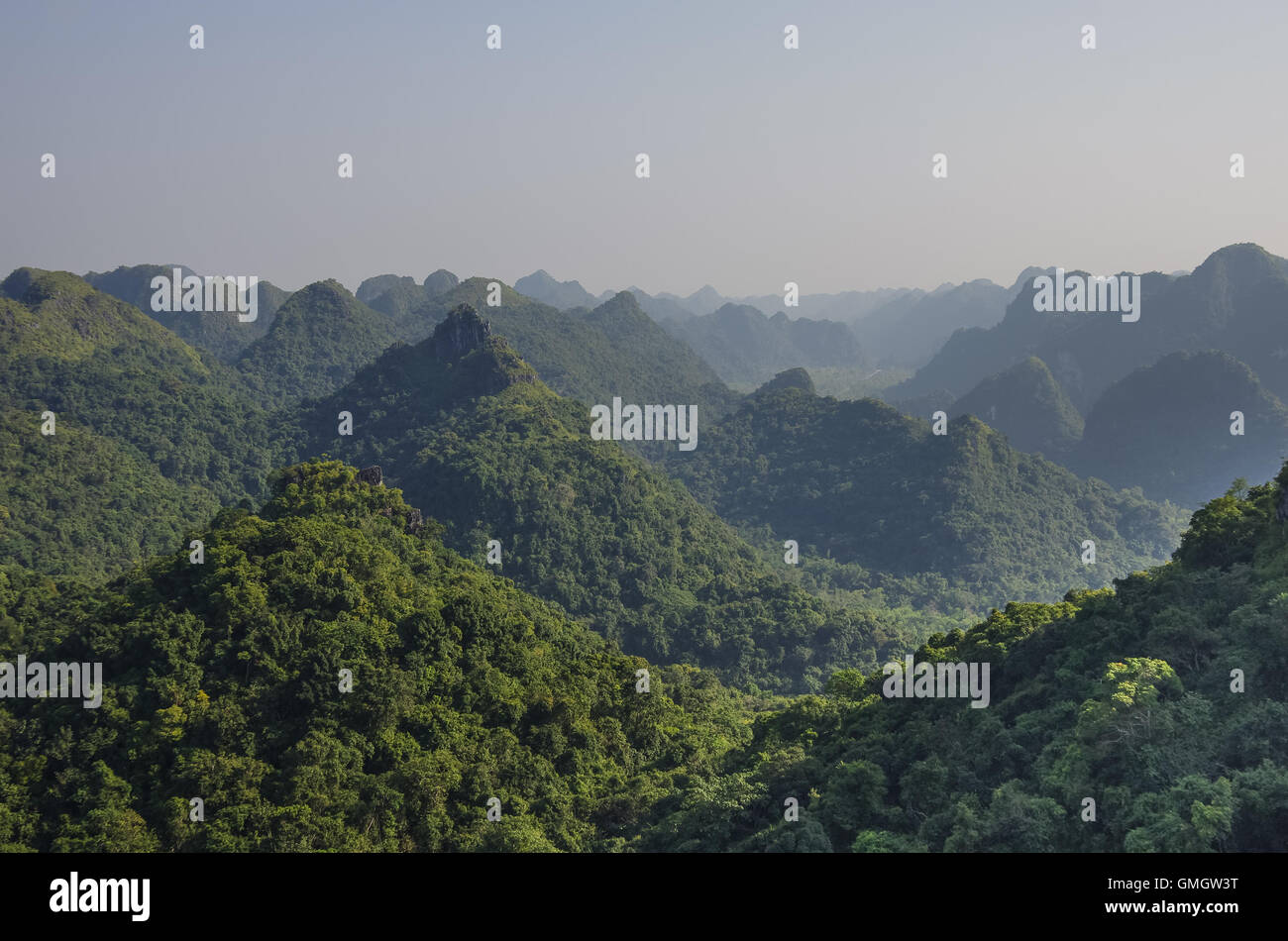 Cat ba national park, vietnam hi-res stock photography and images - Alamy