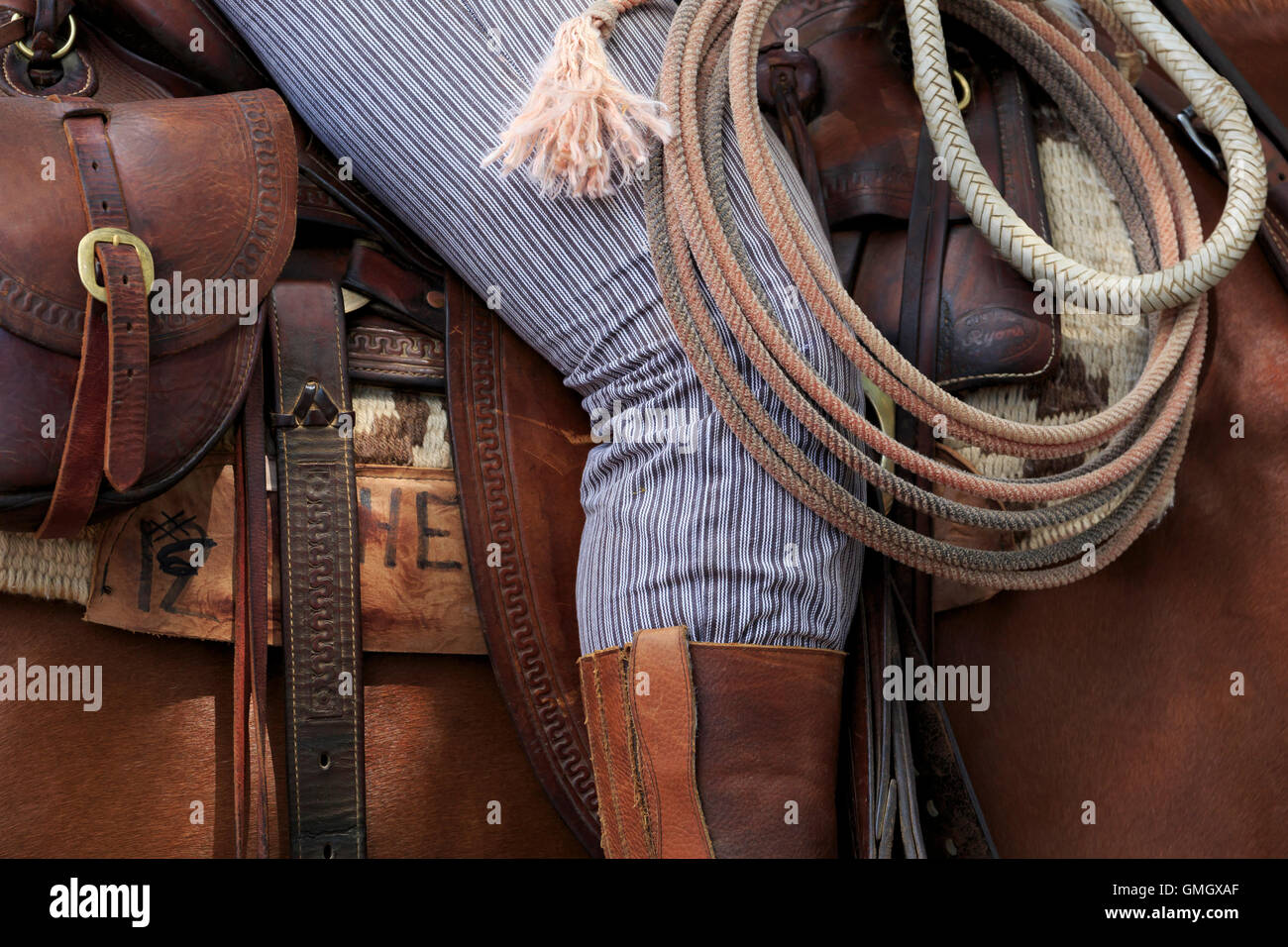 Cowboy in the Stockyards, Fort Worth, Texas, USA Stock Photo - Alamy