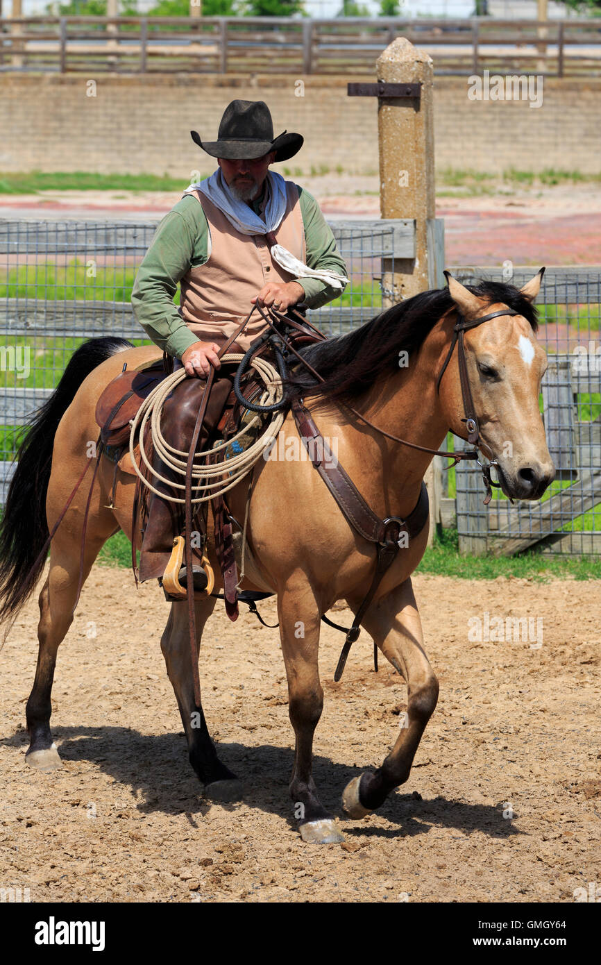 Cowboy in the Stockyards, Fort Worth, Texas, USA Stock Photo - Alamy