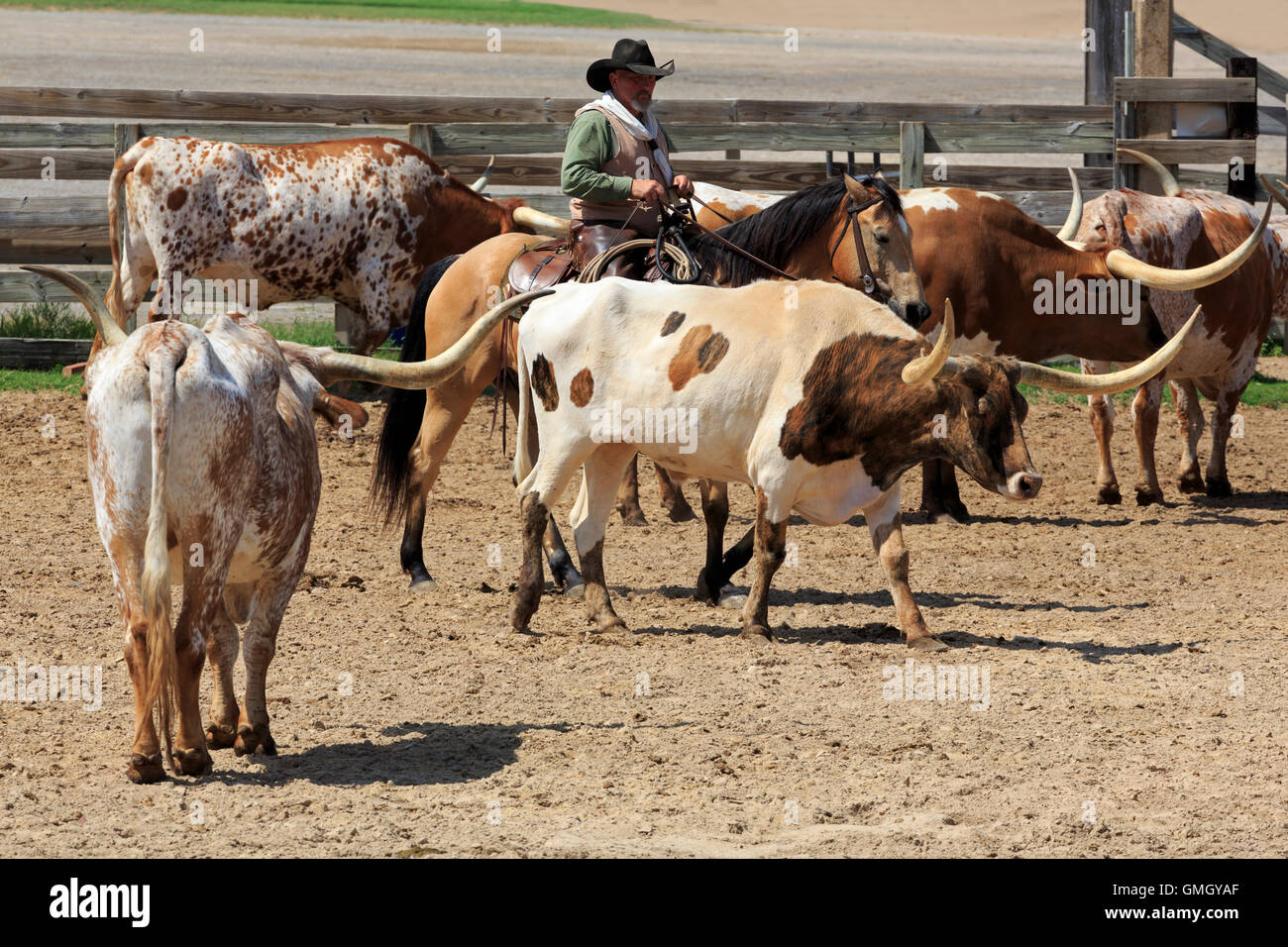 Fort worth cowboy hi-res stock photography and images - Alamy