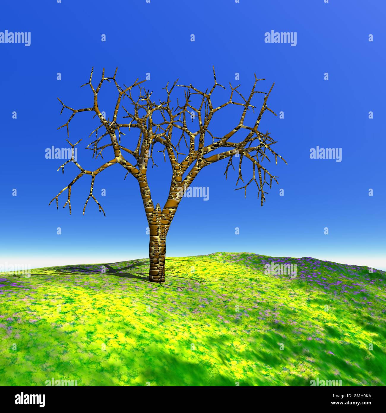 Dead tree in summer Stock Photo - Alamy