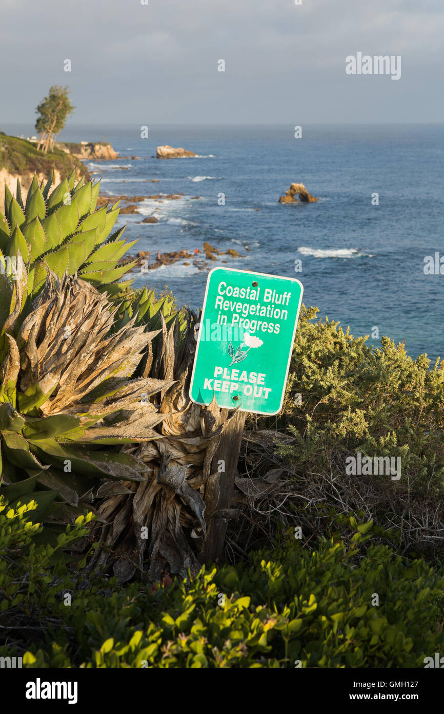 Revegetation hi-res stock photography and images - Alamy