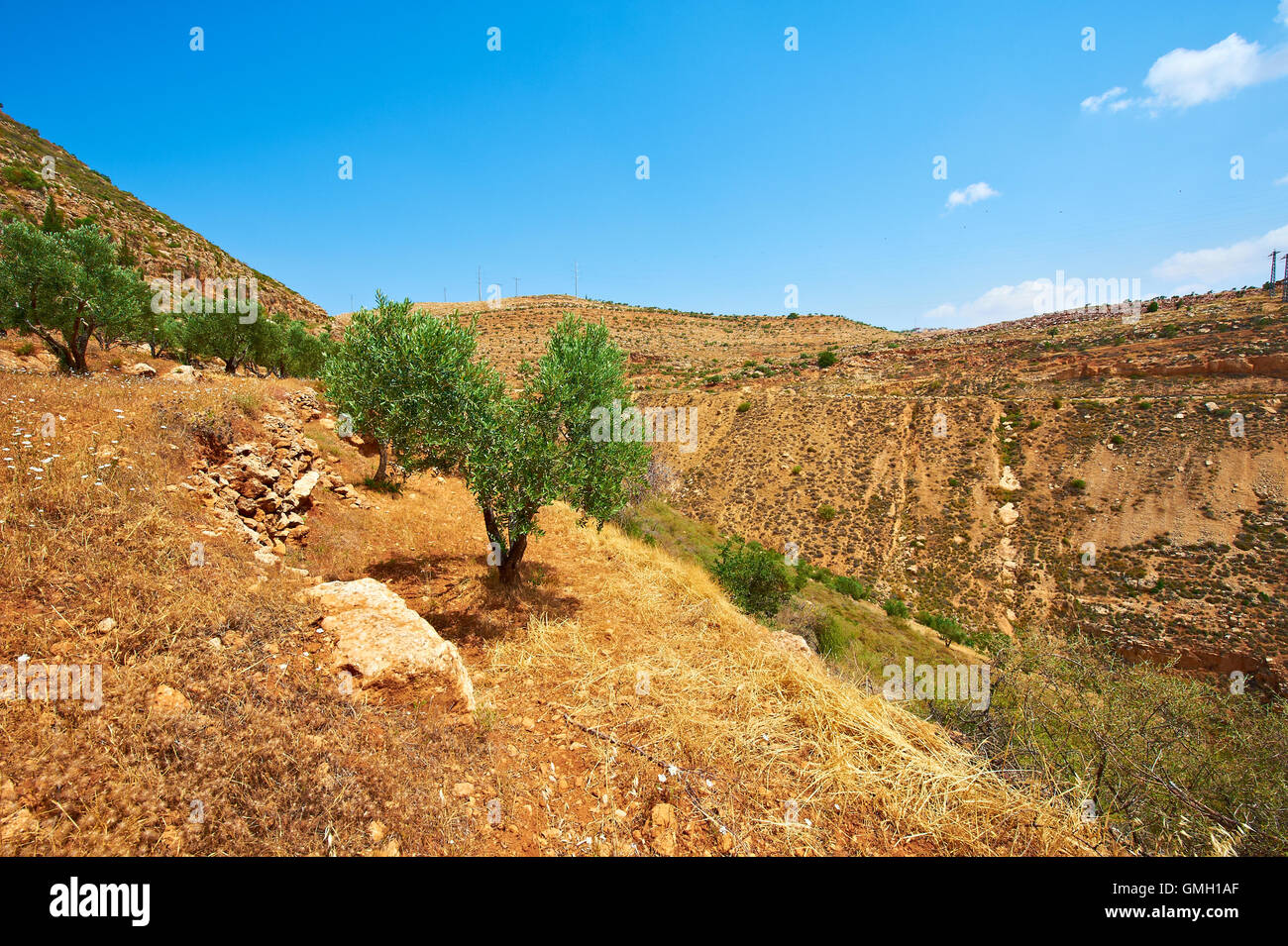 Mountains of Samaria Stock Photo - Alamy