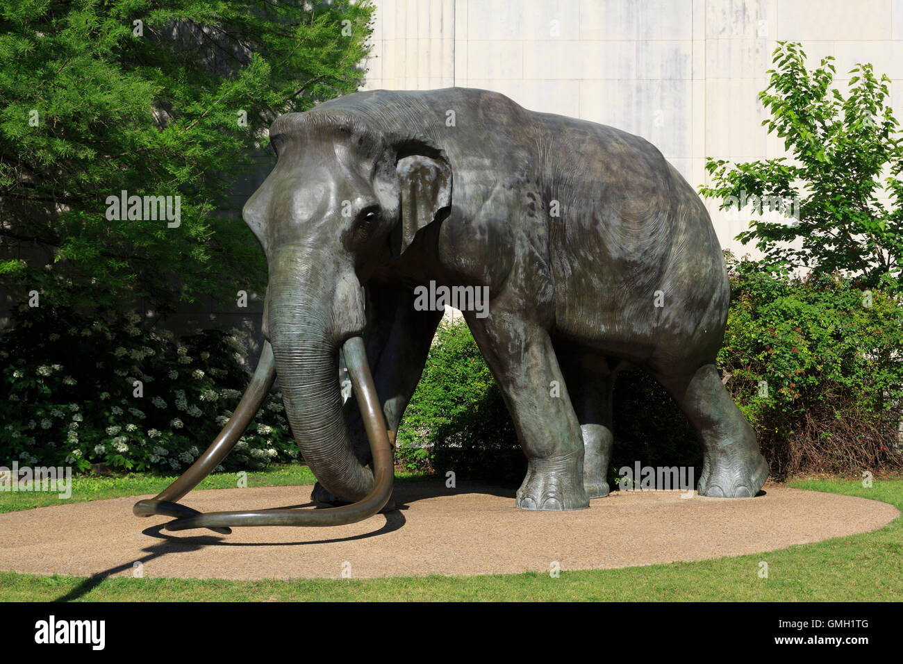 Mammoth, Natural History Museum, Fair Park, Dallas, Texas, USA Stock ...