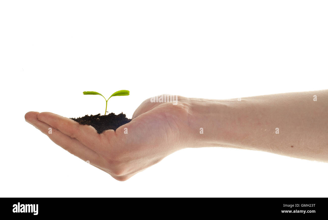 Hand soil leaf plant hi-res stock photography and images - Alamy