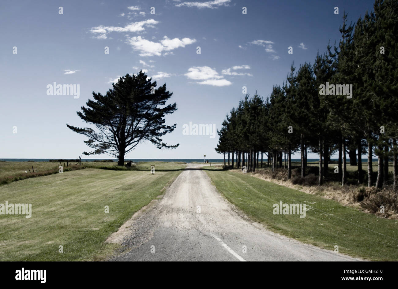 Nice summer walk hi-res stock photography and images - Alamy