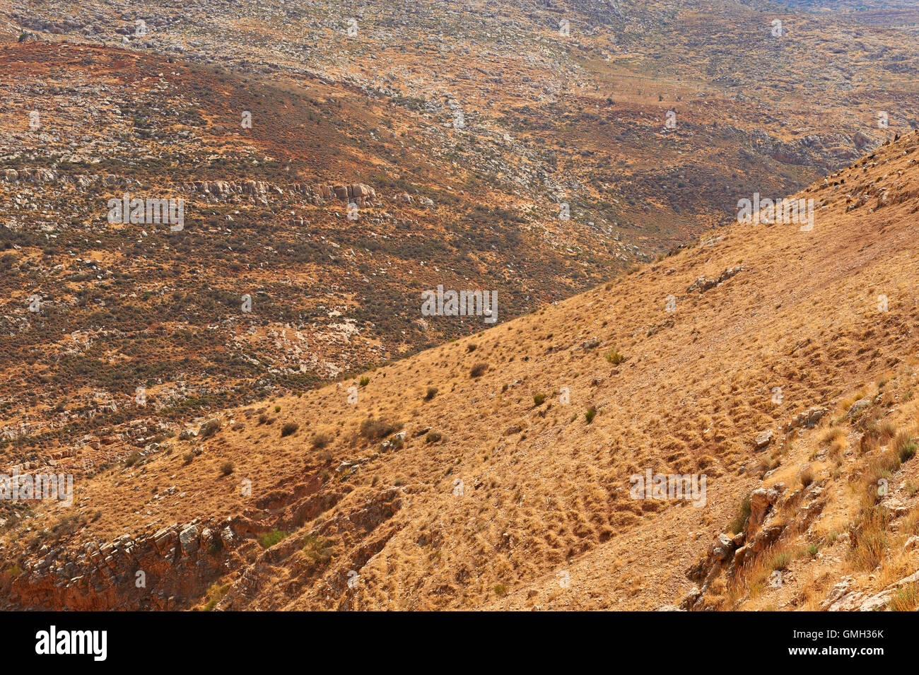 Mountains of Samaria Stock Photo - Alamy