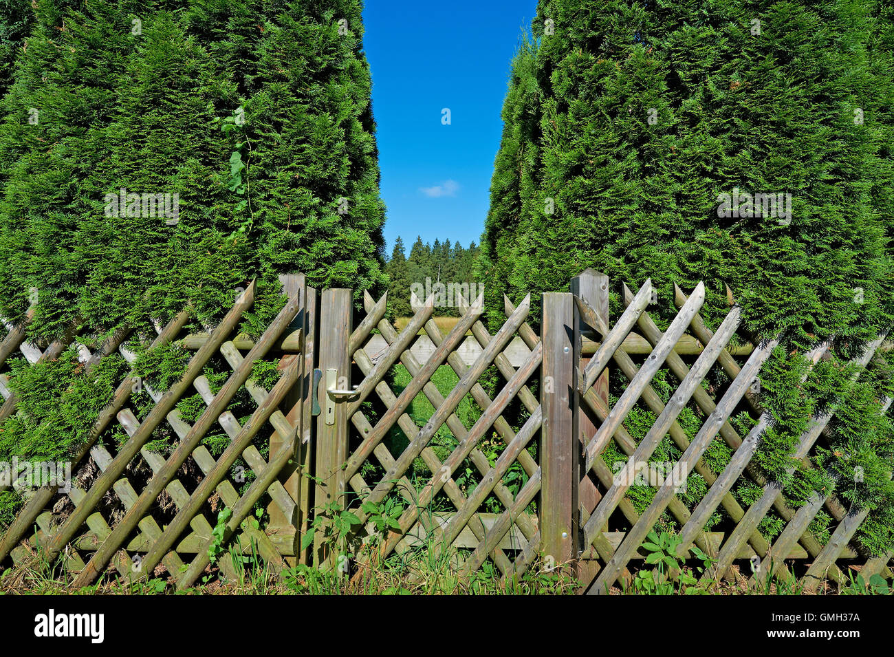 Garden array landscape row hi-res stock photography and images - Alamy