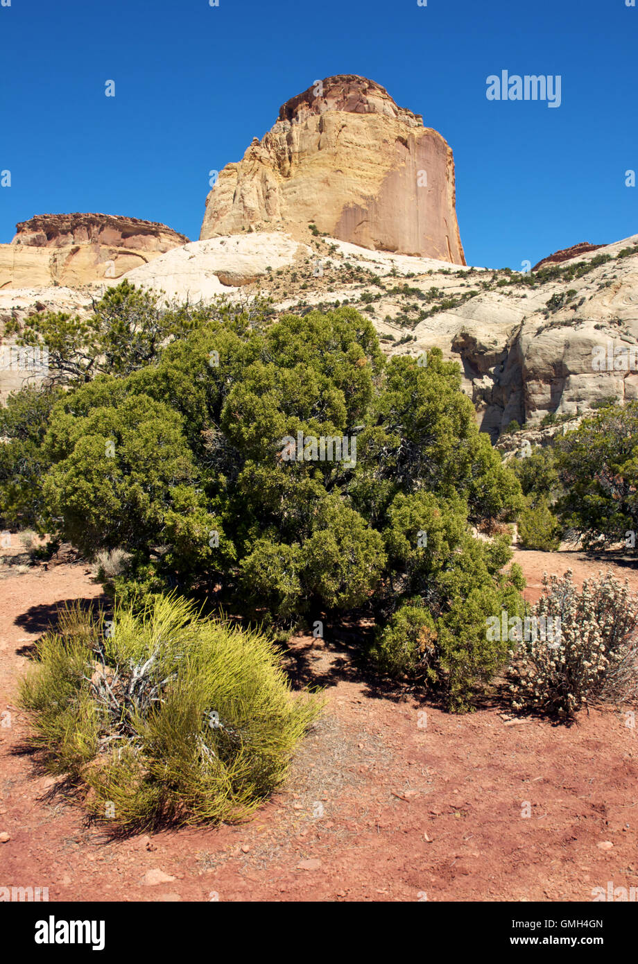 The golden throne hi-res stock photography and images - Alamy