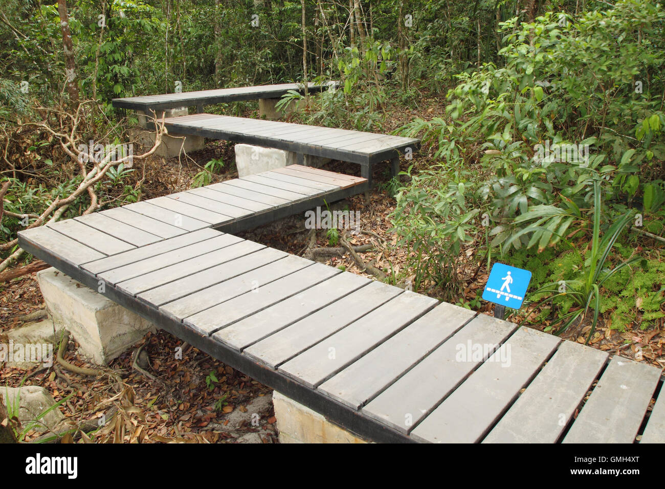 wooden boardwalk in forest with walkway sign Stock Photo - Alamy
