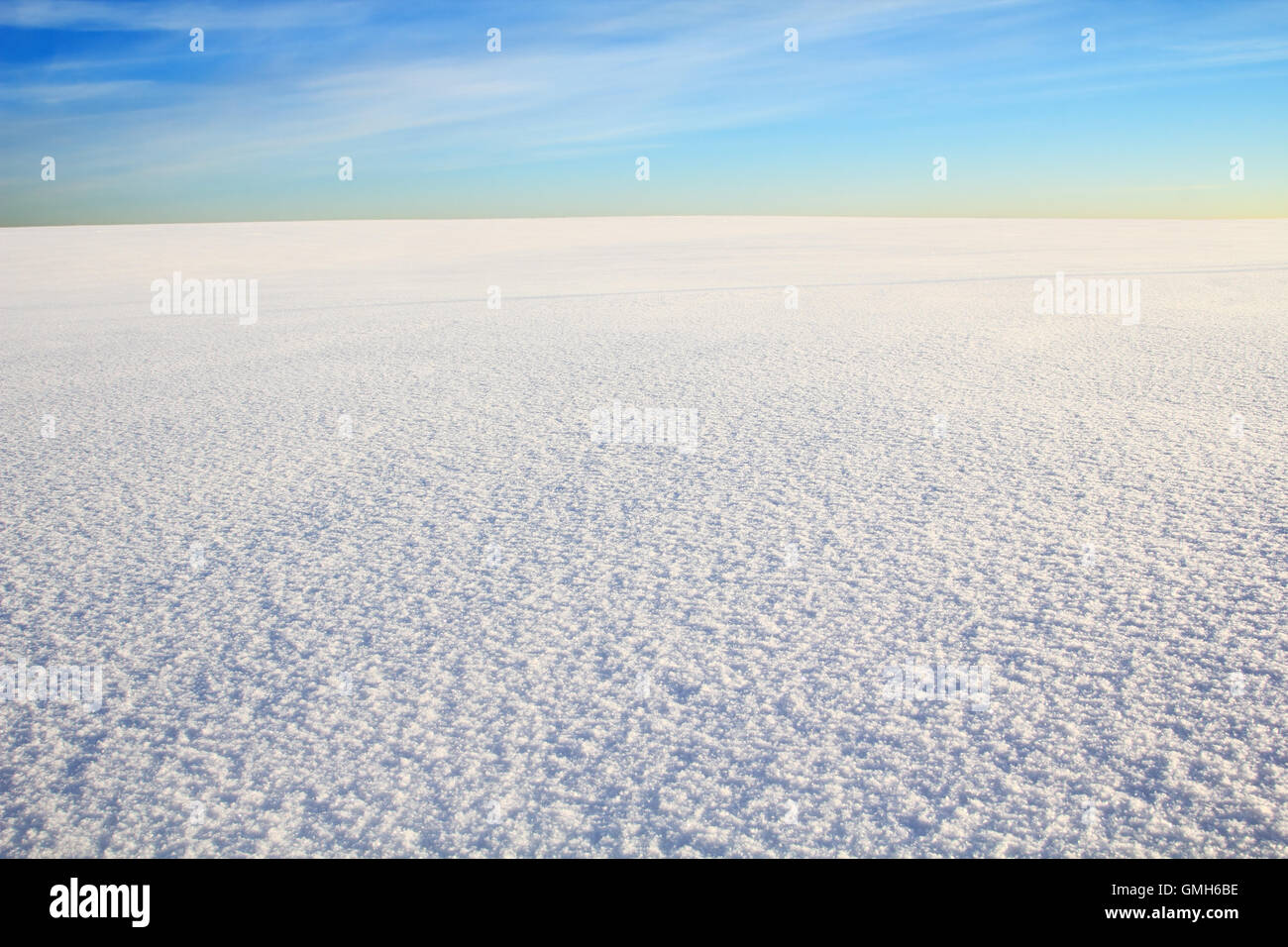 Plain white backgrounds hi-res stock photography and images - Alamy