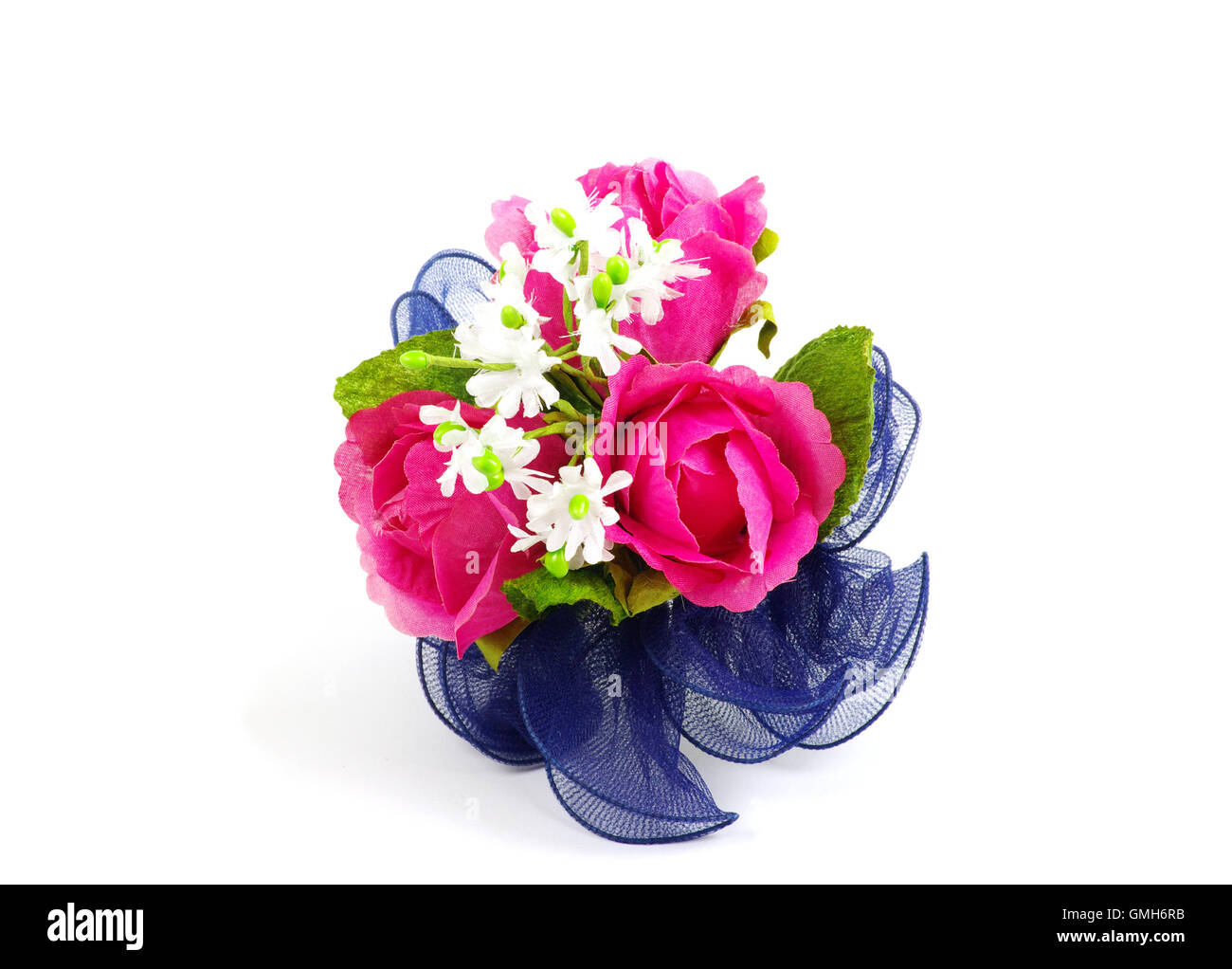 Artificial selection hi-res stock photography and images - Alamy