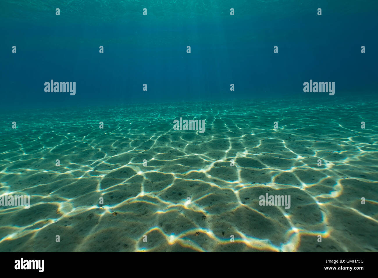 Tropical waters of the Red Sea Stock Photo - Alamy