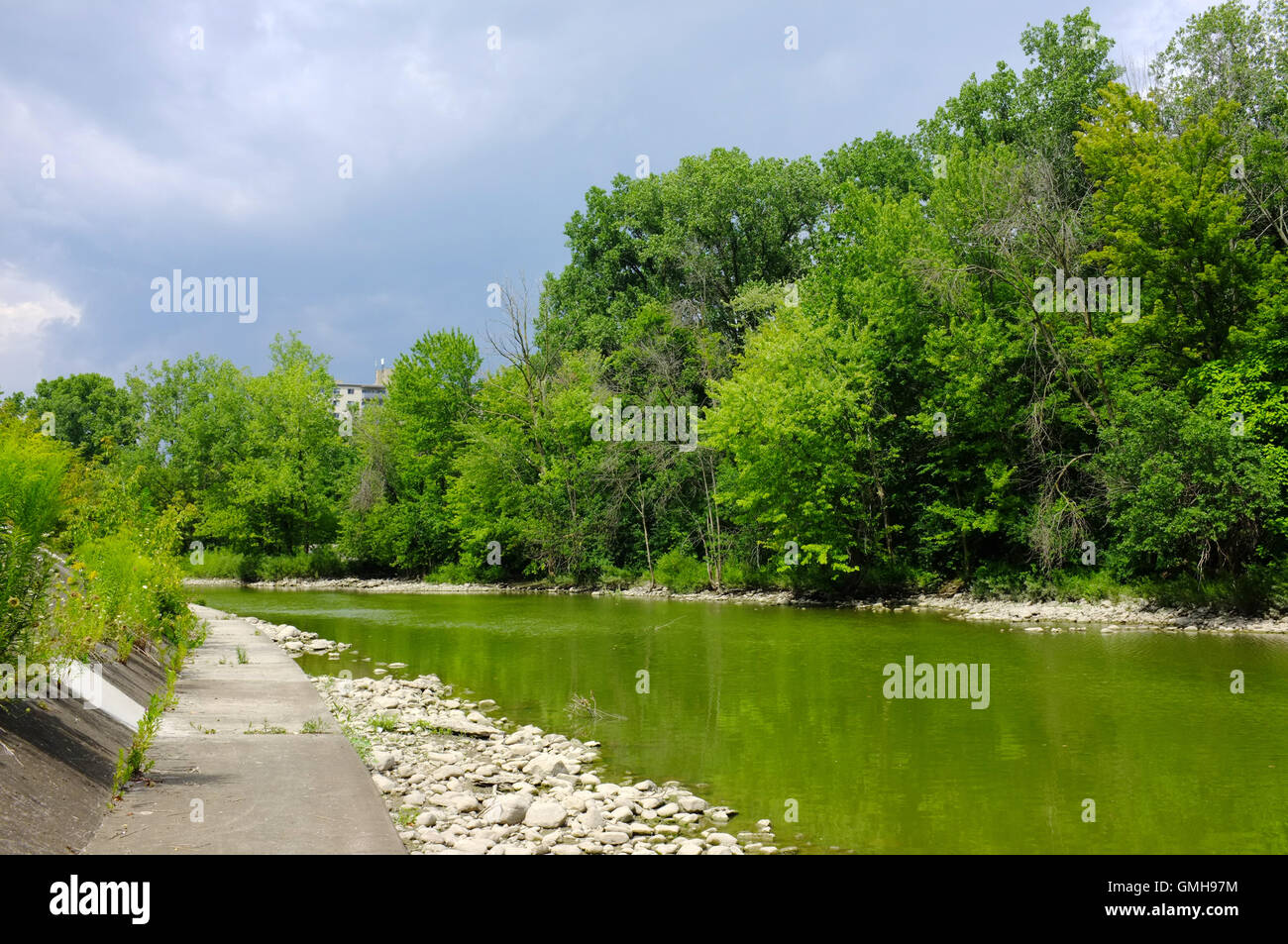 A tree lined section of the river Thames in the Canadian city of London ...