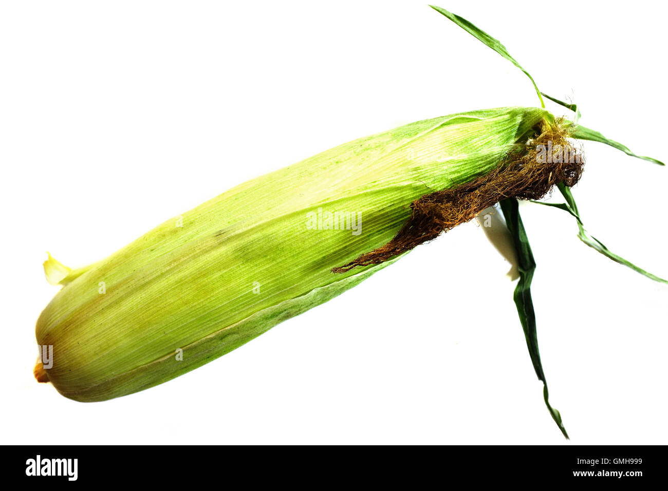 Sheaf of corn hi-res stock photography and images - Alamy