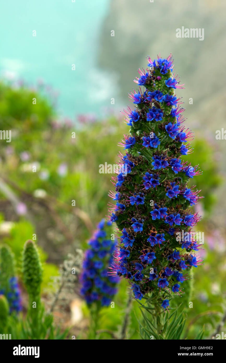 Big Sur Color Stock Photo - Alamy