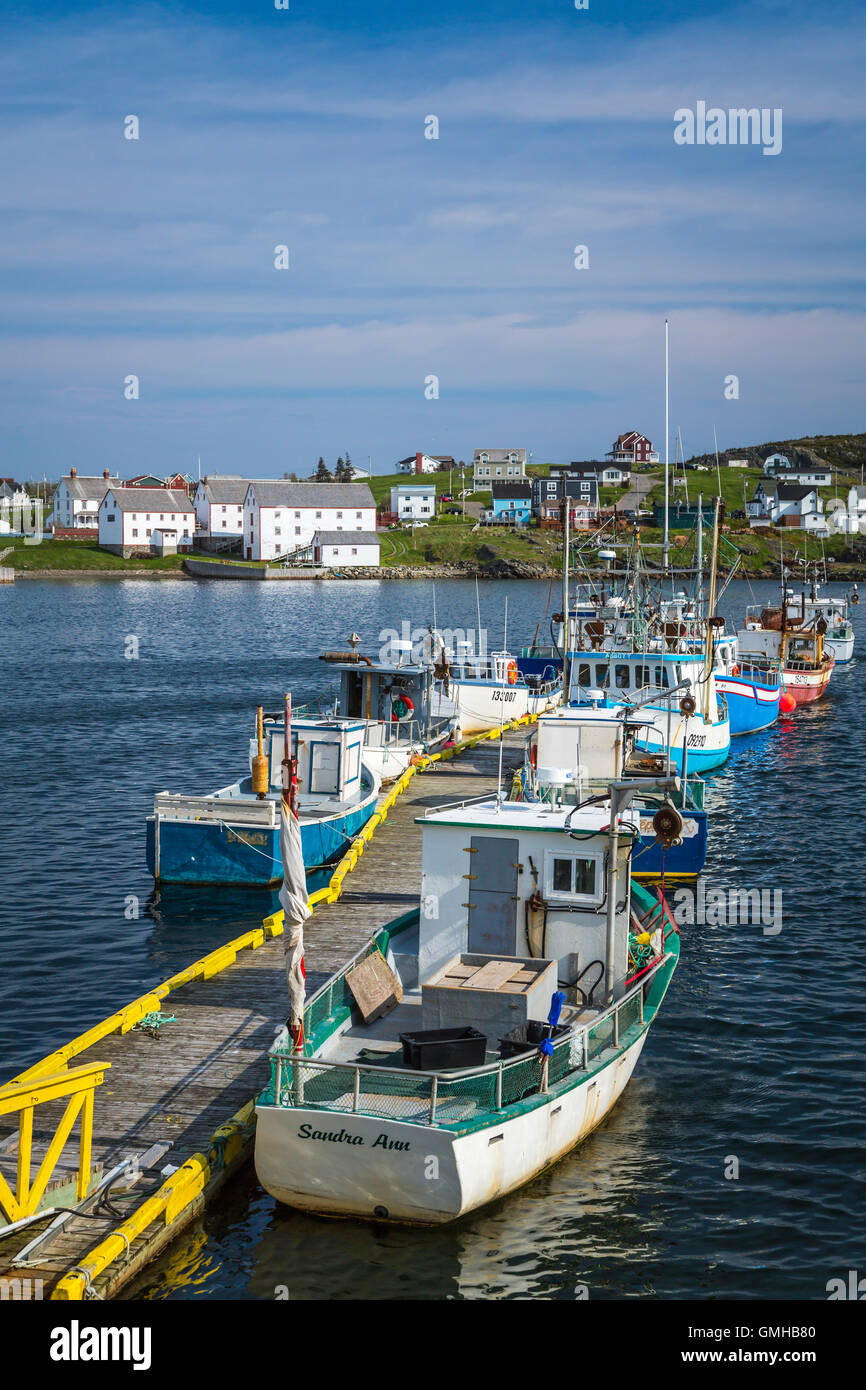 Newfoundland fishing boats hi-res stock photography and images - Alamy