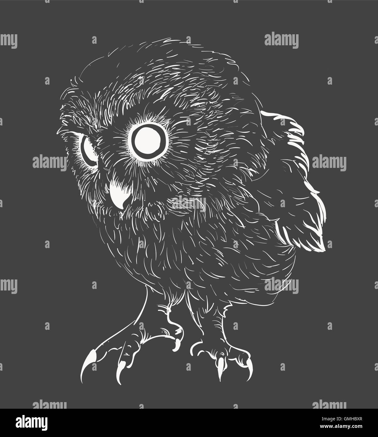 Black and white owl decoration hi-res stock photography and images - Alamy