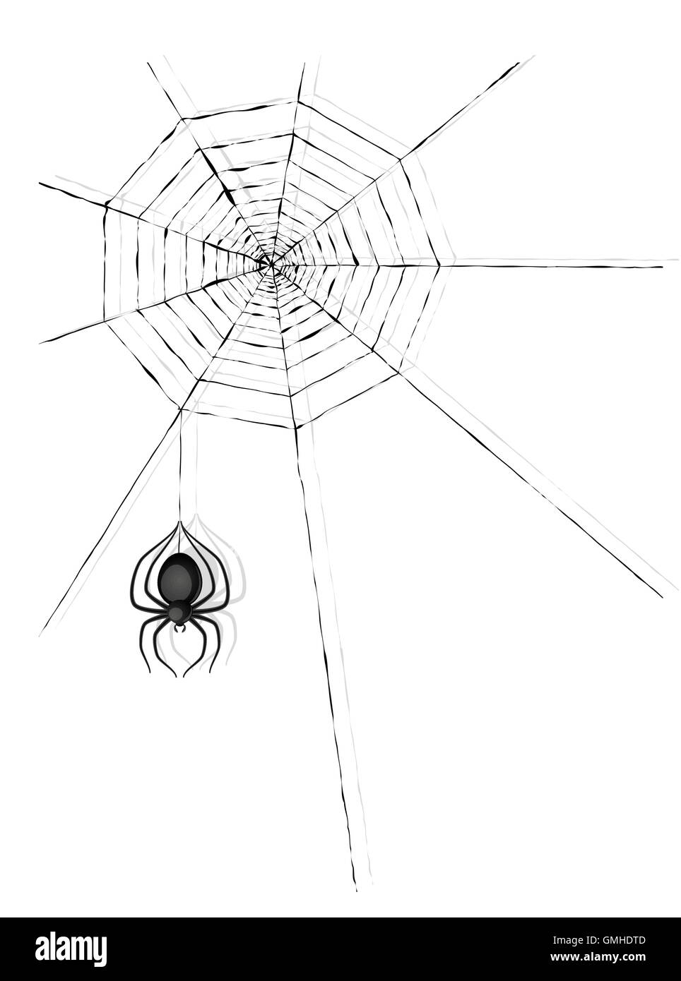 spider and cobweb Stock Vector Image & Art - Alamy