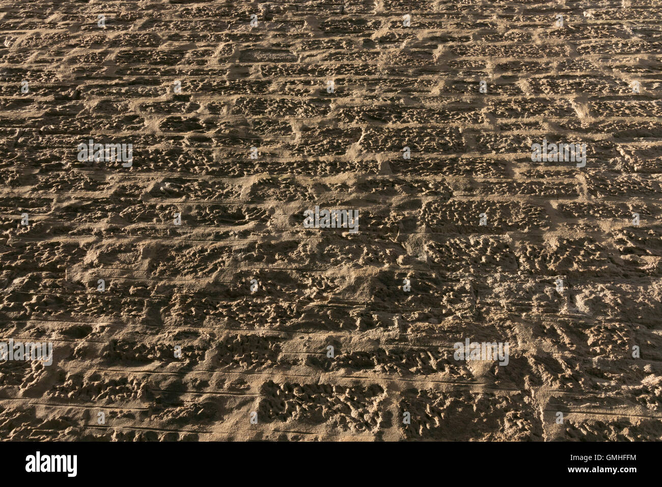 Weathered aged sandstone textures,Perth,Perthshire,Scotland,UK Stock ...
