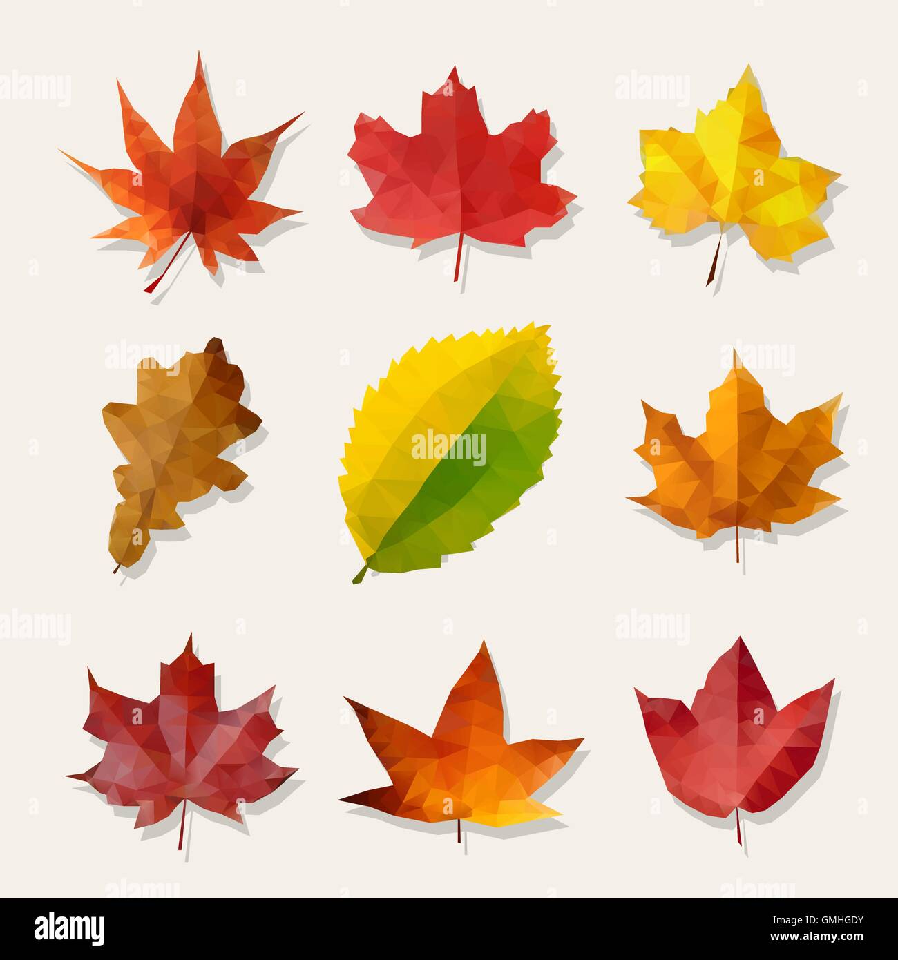 Yellow red autumn tree Stock Vector Images - Alamy