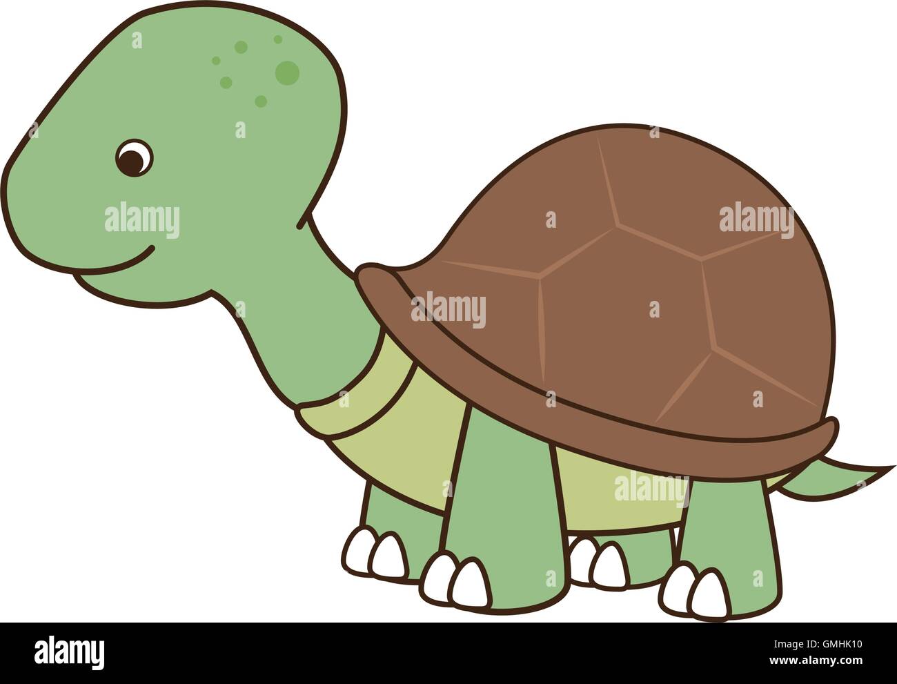 cute turtle pet Stock Vector Image & Art - Alamy