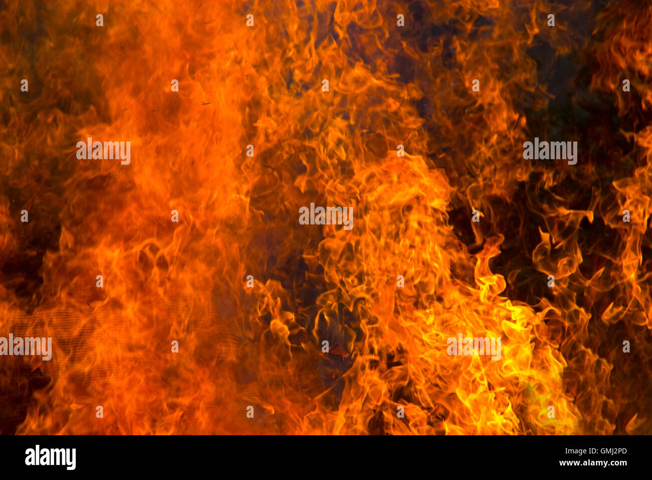 Outdoor burning fire and open flame. Black-orange background Stock ...