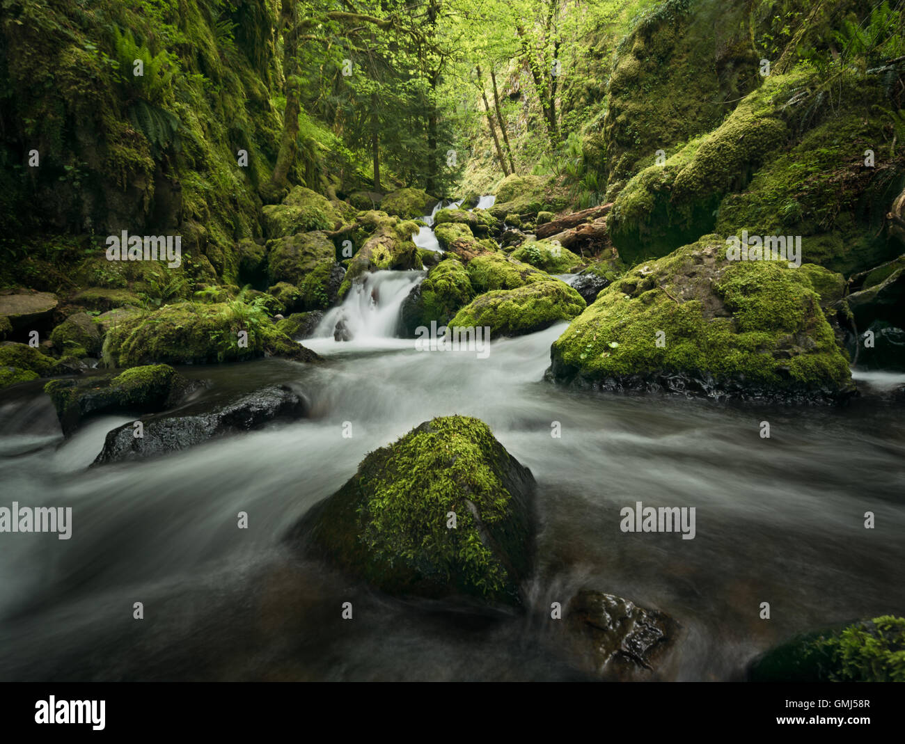 Mossy stream 2 Stock Photo - Alamy