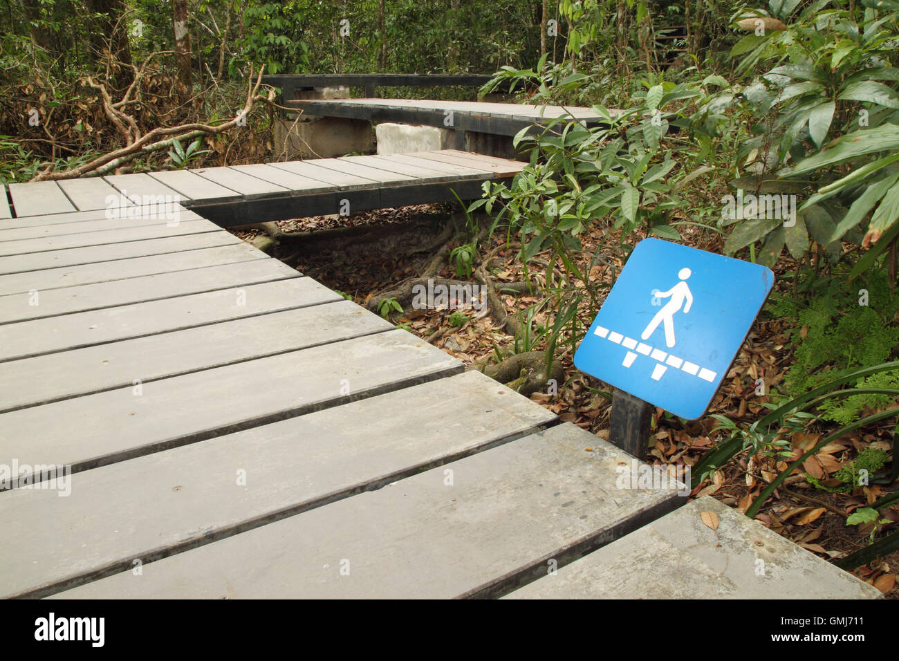 walkway sign with wooden boardwalk in forest Stock Photo - Alamy