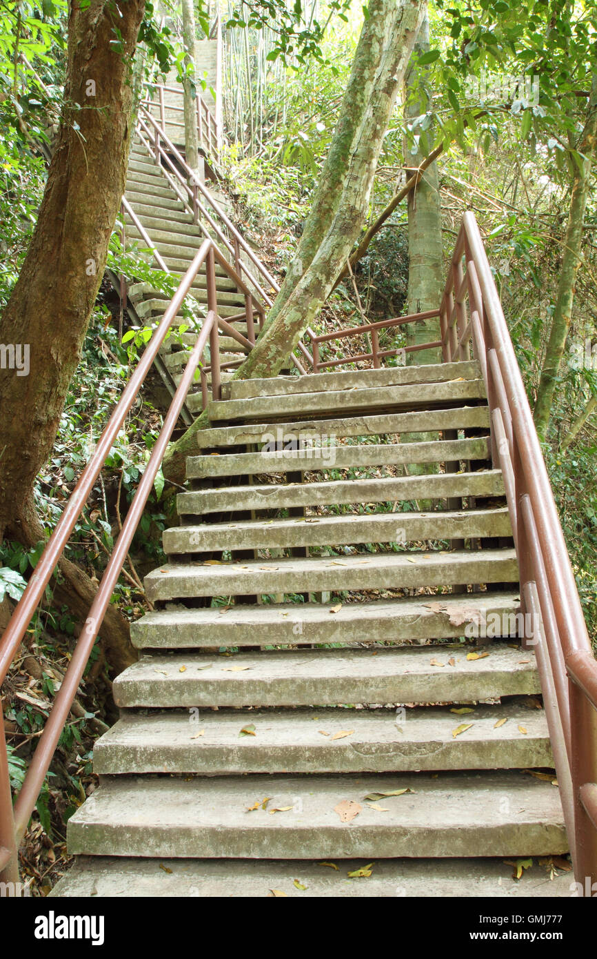 stairway to jungle, Khao Yai national park Stock Photo - Alamy