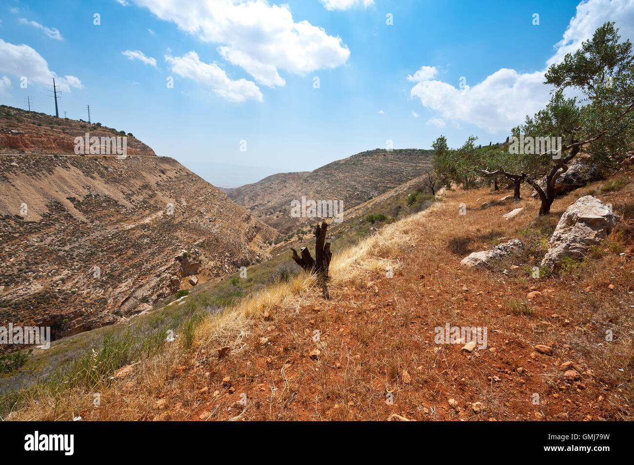 Field samaria hi-res stock photography and images - Alamy