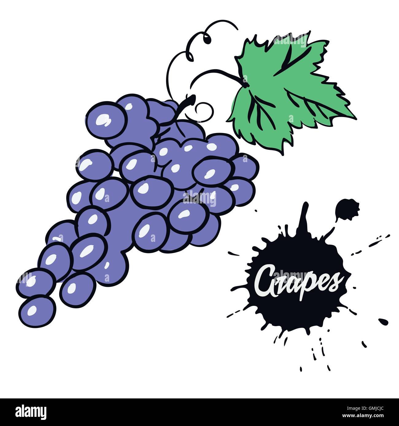 Isolated grapes bunch dark Stock Vector Images - Alamy