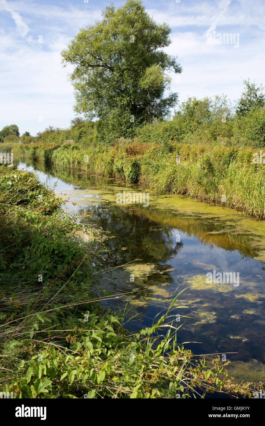 Coombe hill hi-res stock photography and images - Alamy
