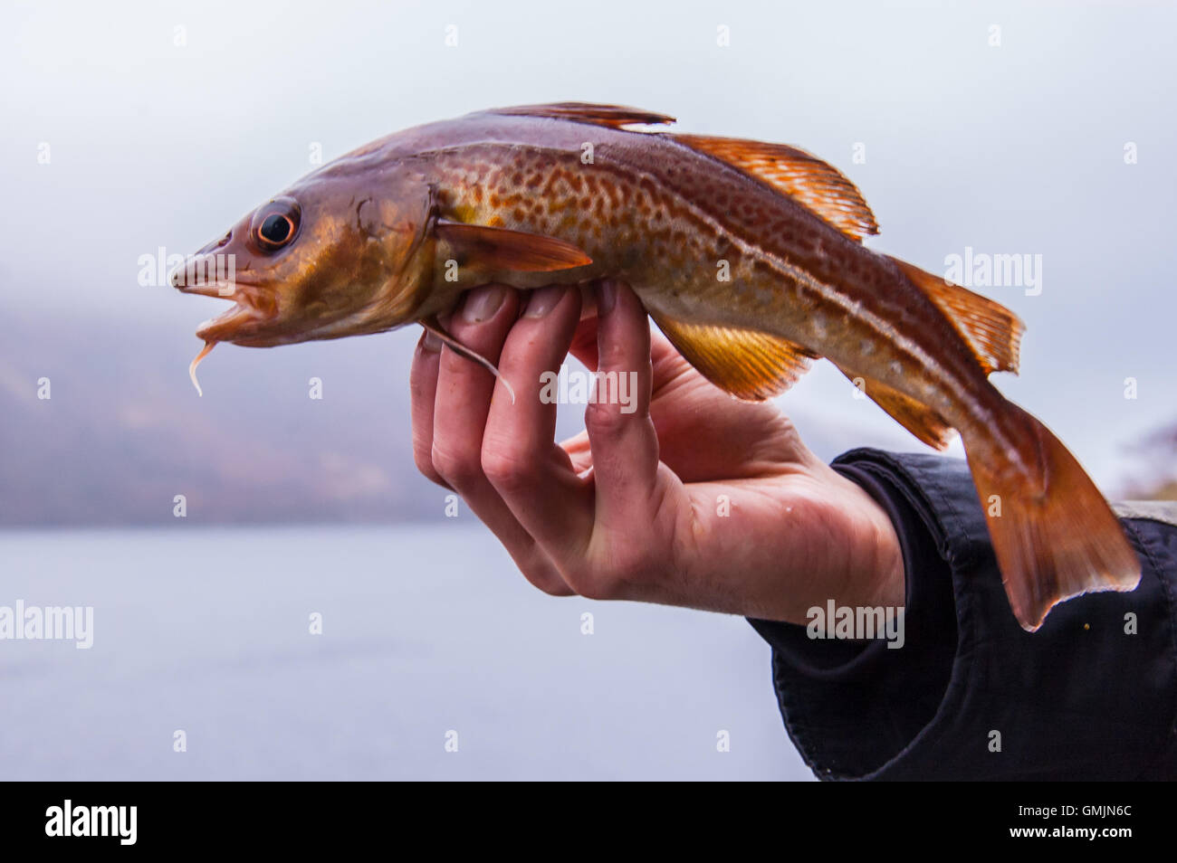 Scottish angler hi-res stock photography and images - Alamy