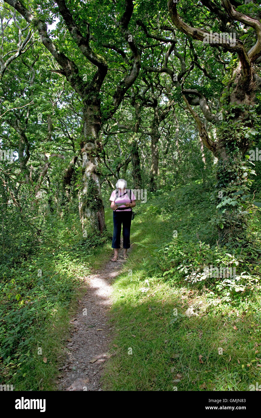 Old woman walking forest hi-res stock photography and images - Alamy