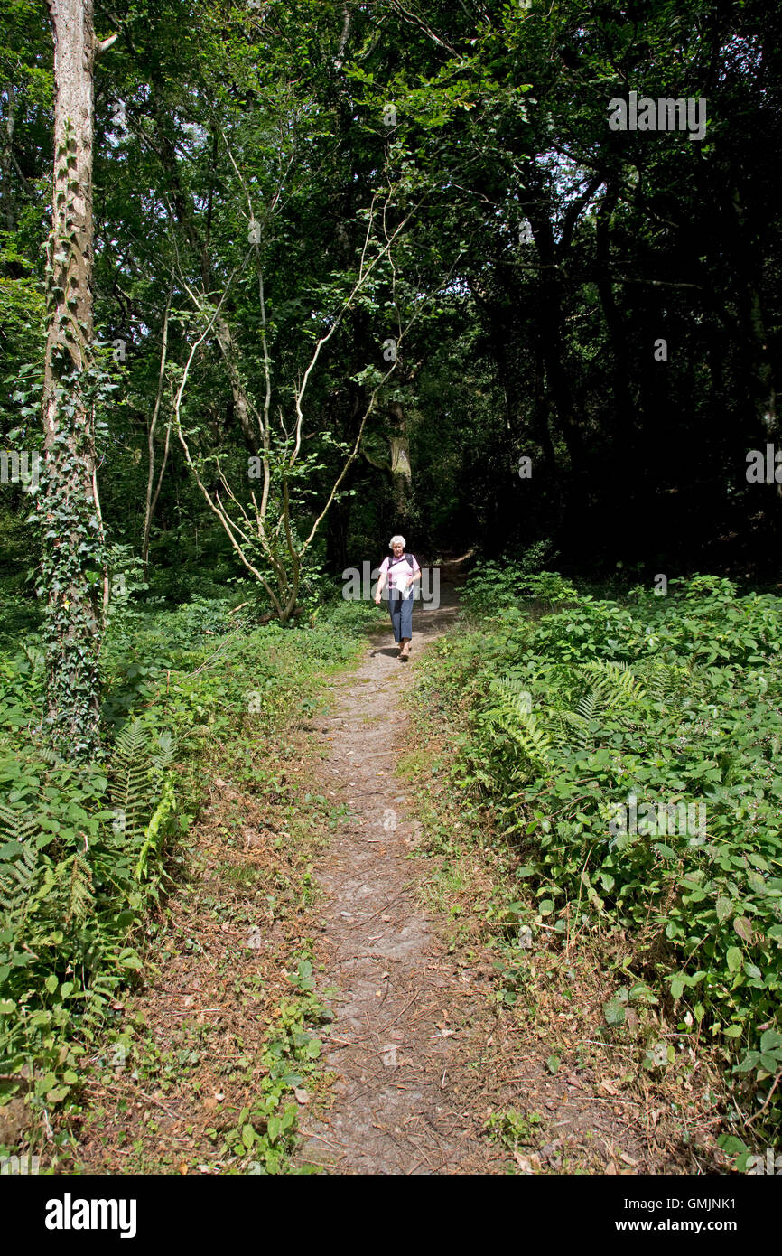 Old woman walking forest hi-res stock photography and images - Alamy