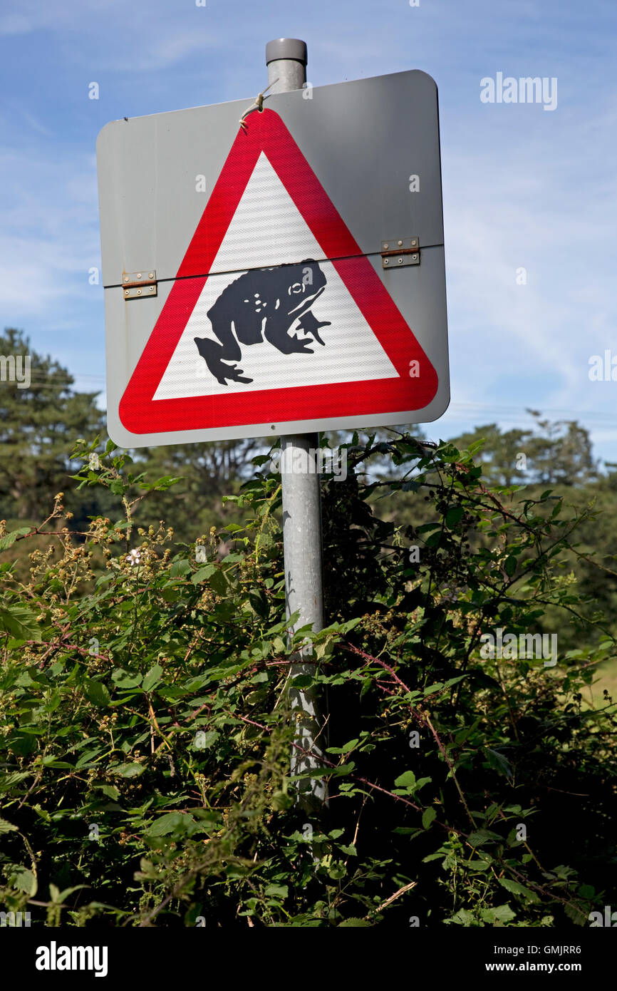 Toads crossing sign hi-res stock photography and images - Alamy