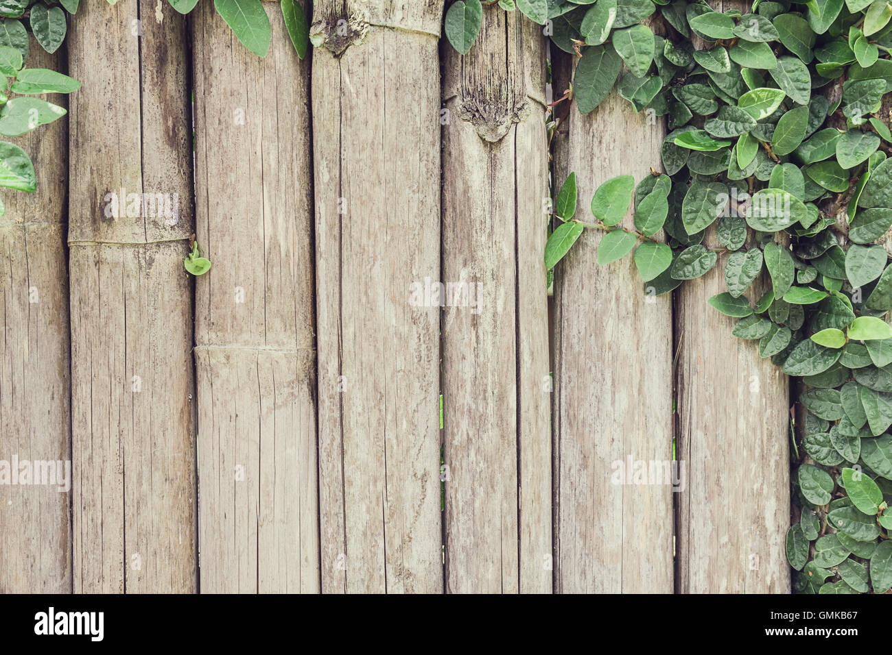 Wooden panels hi-res stock photography and images - Alamy