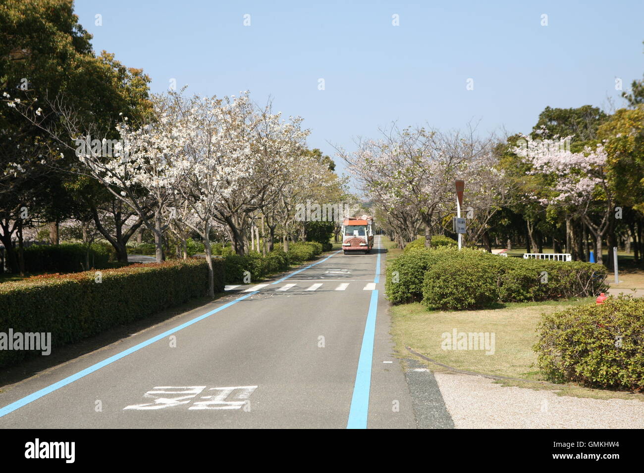 Bus in sakura hi-res stock photography and images - Alamy
