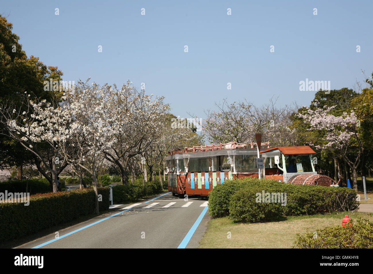 Bus in sakura hi-res stock photography and images - Alamy