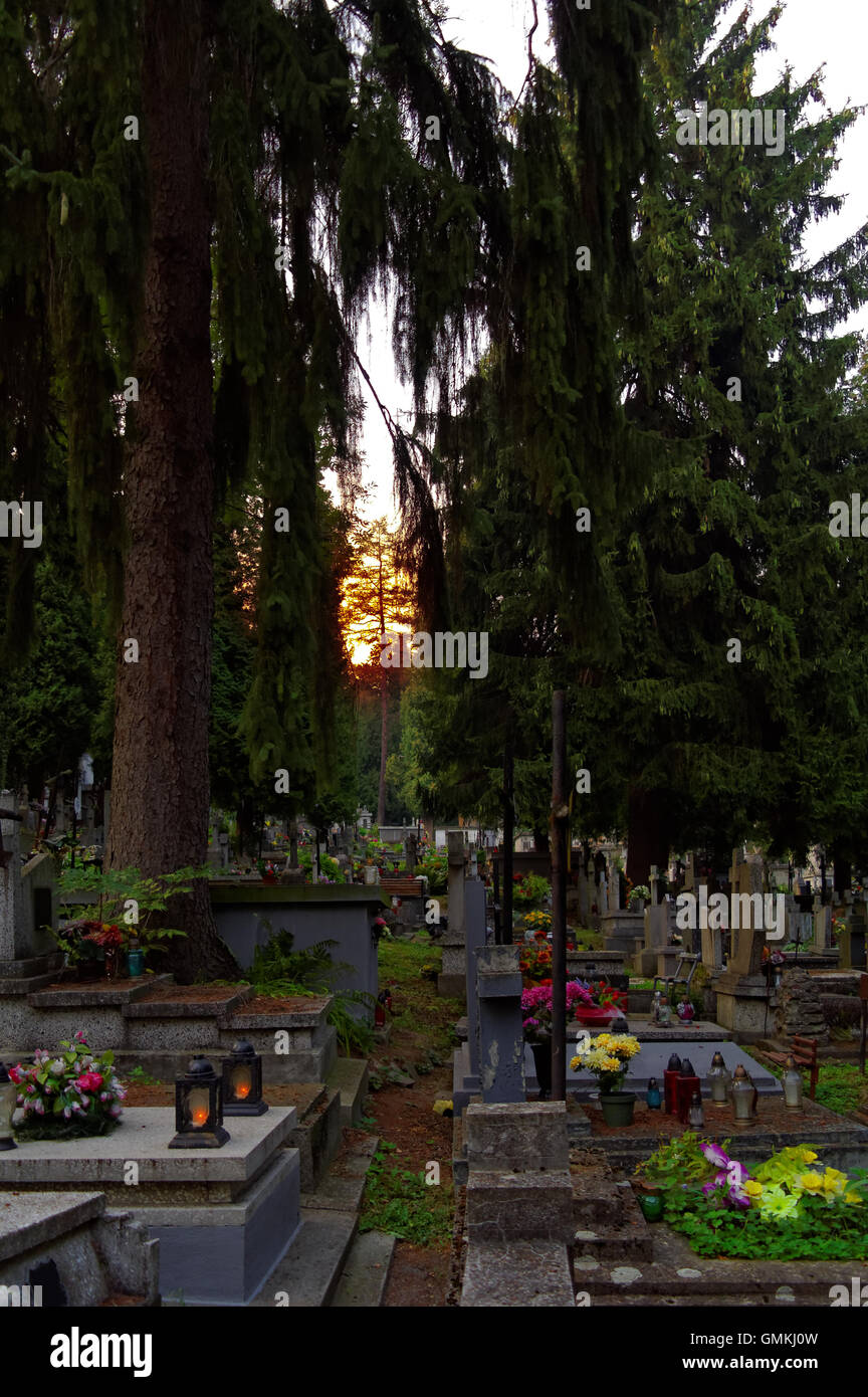 Cemetery evening sun hi-res stock photography and images - Alamy